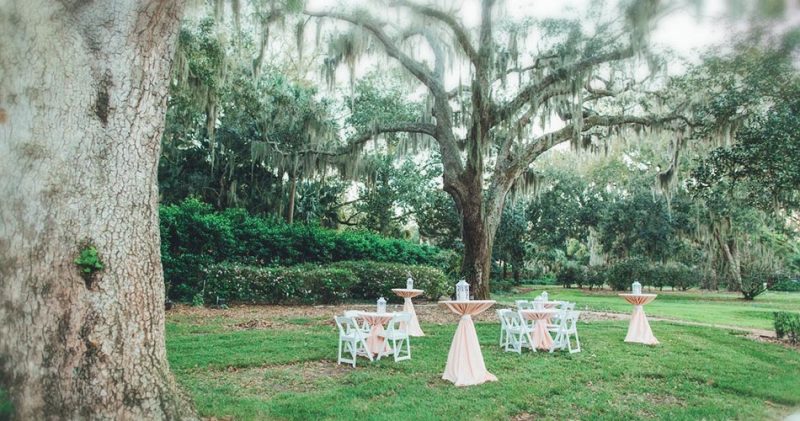 Another Stunning Event at Azaleana Manor - Azaleana Manor